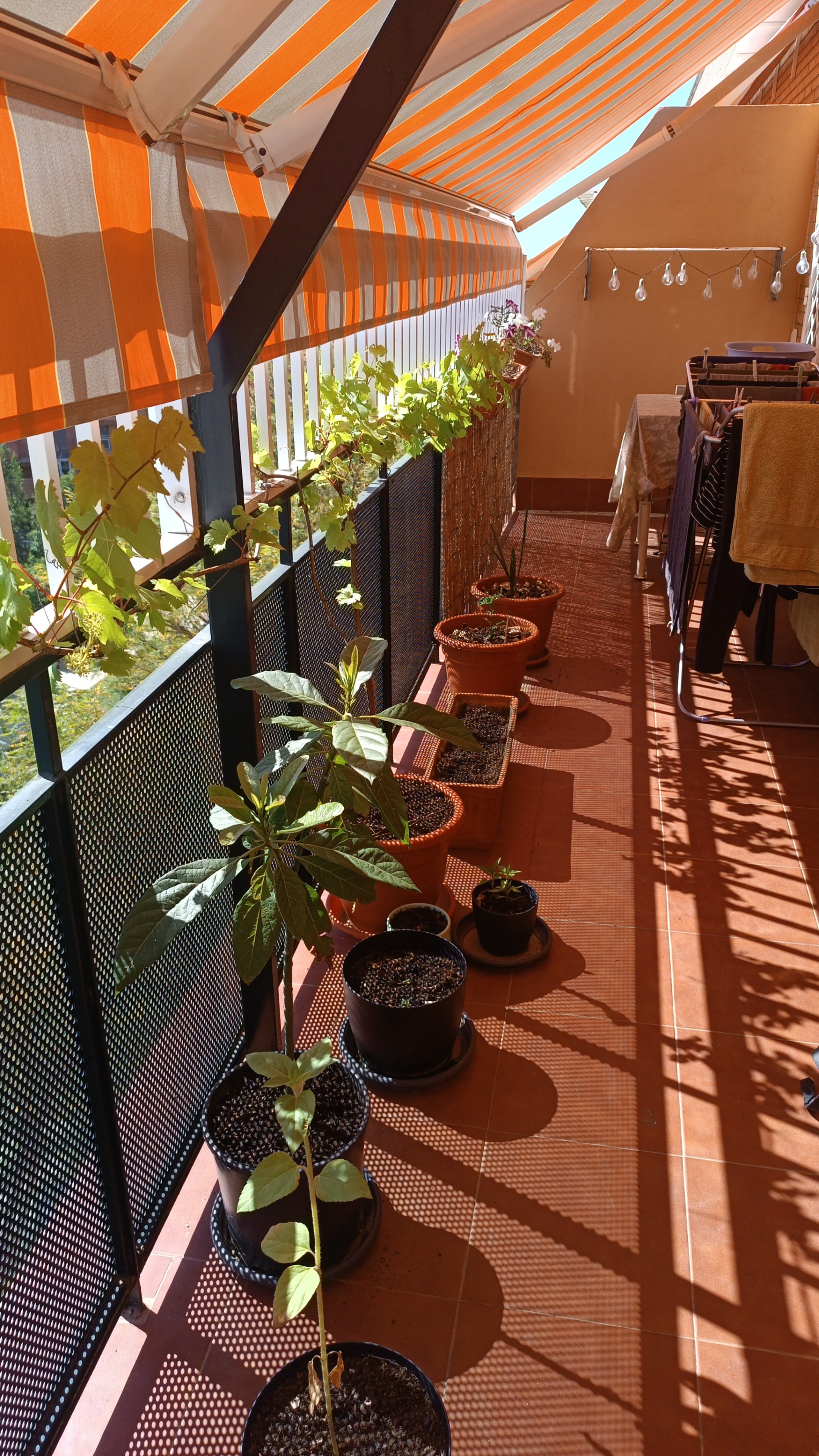 Chicago Visa Checklist – Spanish Bureaucracy Guides